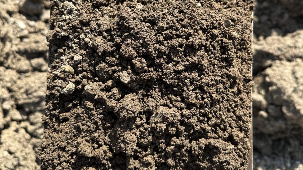 Screened Fill Dirt | Cox Recycling Company